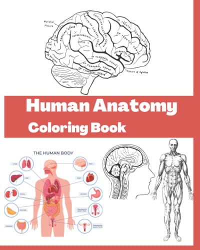 Human Anatomy Coloring Book: An Engaging, Informational, and ...