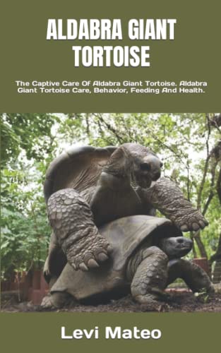 ALDABRA GIANT TORTOISE: The Captive Care Of Aldabra Giant Tortoise ...
