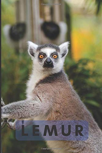 Lemur: Love Composition Notebook Motivational Positive Inspirational ...