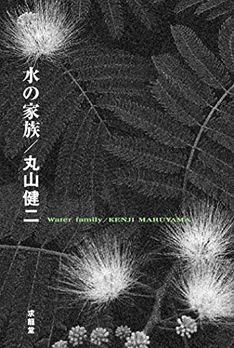 水の家族 by Kenji Maruyama | Goodreads