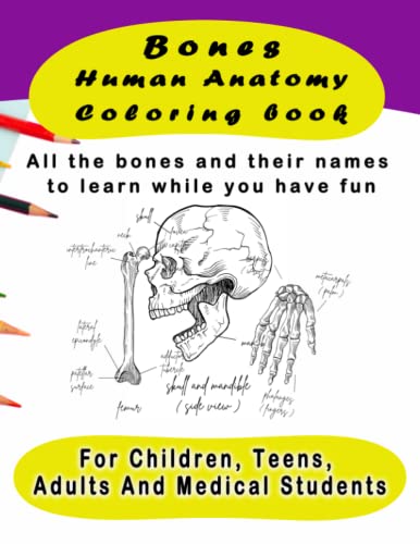 Coloring Books Anatomy Human Bones: An Entertaining And Instructional ...