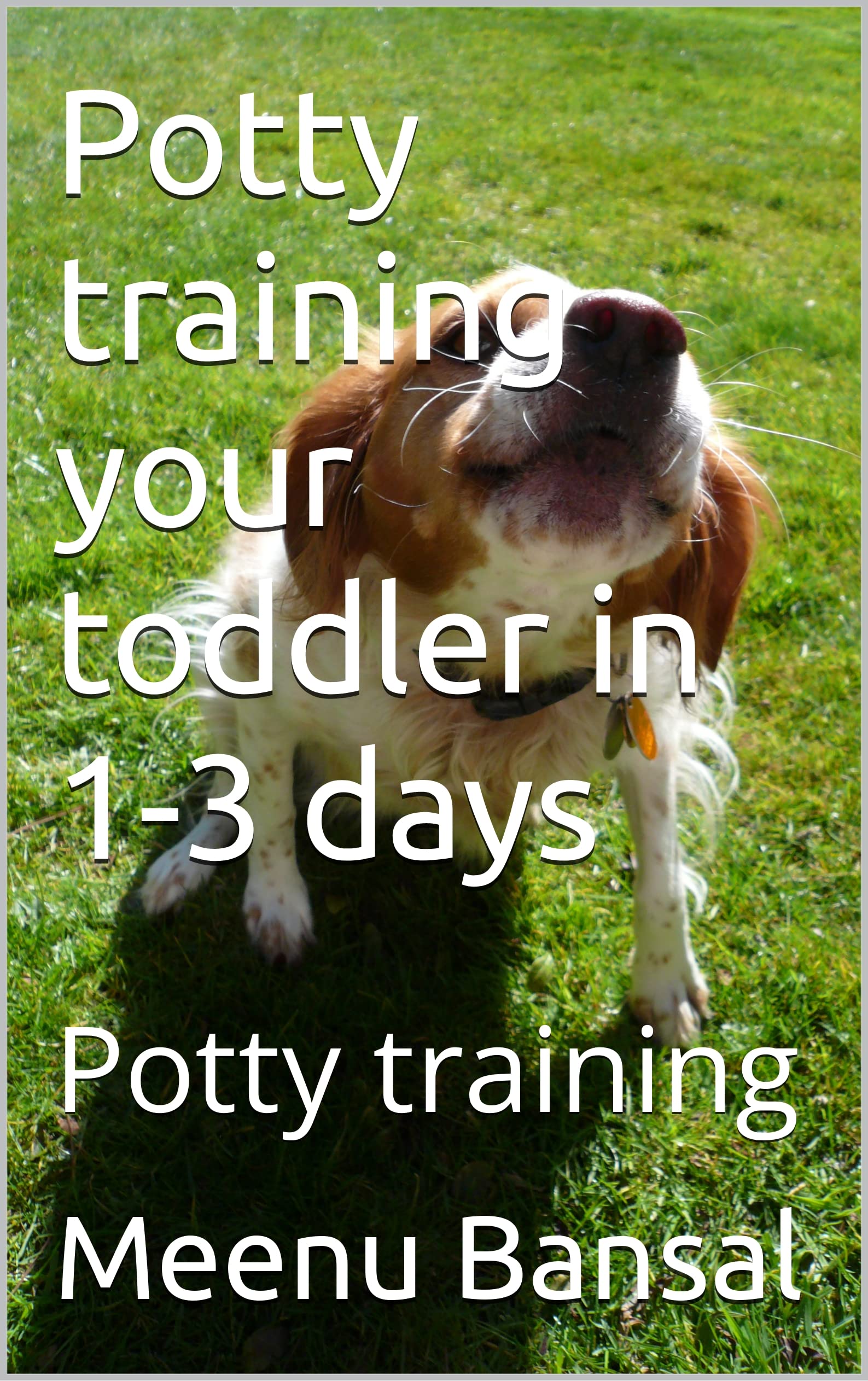 Potty training your toddler in 1-3 days by Meenu Bansal | Goodreads