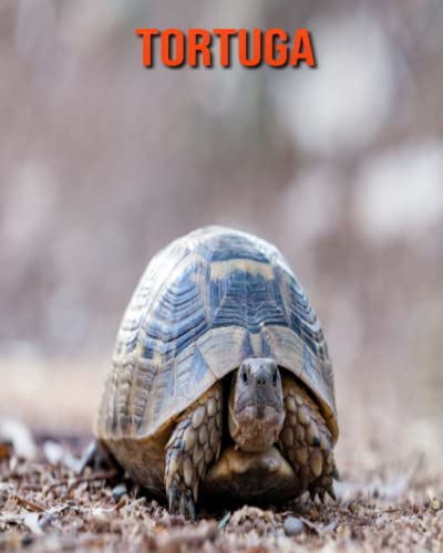 Tortuga: Libro para niños con imágenes hermosas y datos interesantes ...