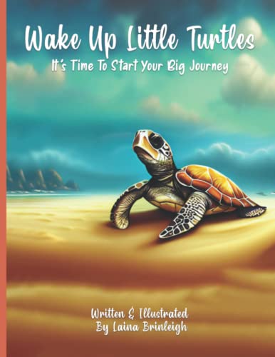 Wake Up Little Turtles, It’s Time To Start Your Big Journey: Sea ...