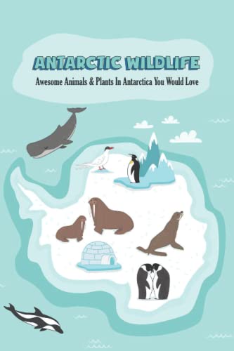 Antarctic Wildlife: Awesome Animals & Plants In Antarctica You Would ...