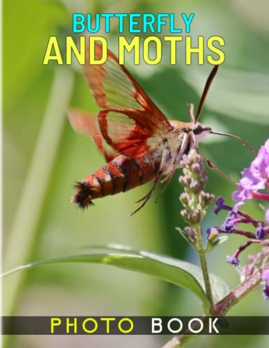 Butterfly And Moths Photo Book: An Interesting Picture Book With 40 ...