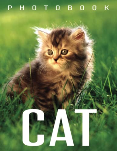 Picture Book Of Cat: A Great Gift With Impressive And Attractive ...