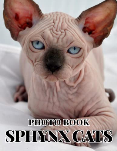 Sphynx Cats Photo Book: Compelling Photos Of Sphynx Cats Collection As ...