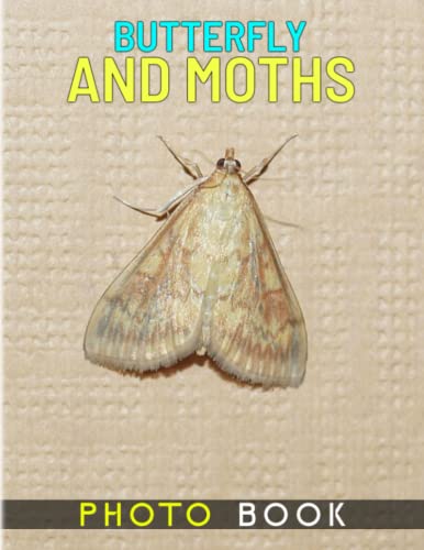Butterfly And Moths Photo Book: Photography Book With 40 High-Quality ...
