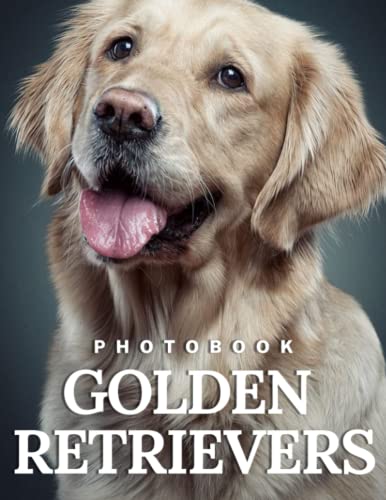 Golden Retrievers Photo Book: A Great Gift With Impressive And ...