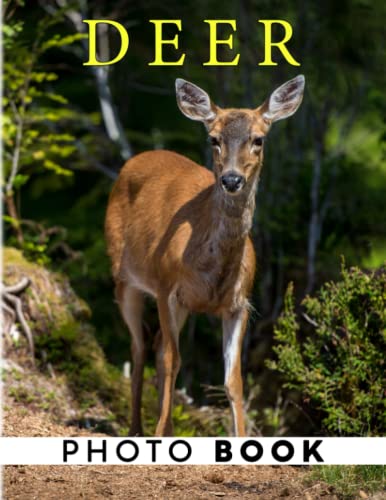 Deer Photo Book: Picture Book About Cute Deers With 40 Photos Inside ...