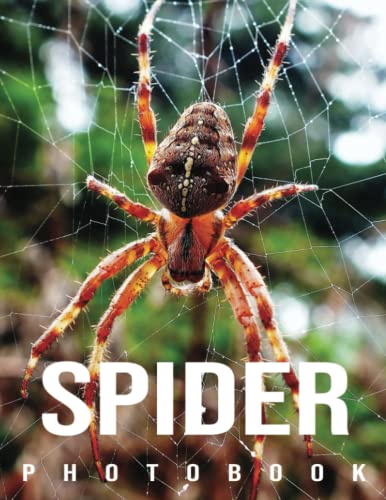 Spider Photo Book: Compelling Photos Of Spider Collection As A Perfect ...