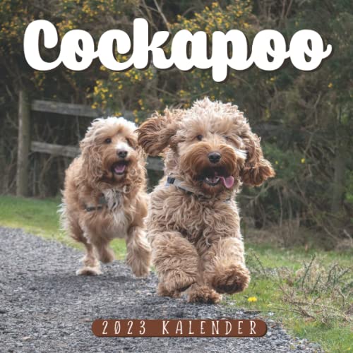 Cockapoo Kalender: 18-Monats-Kalender von Juli 2022 bis Dezember 2023 ...