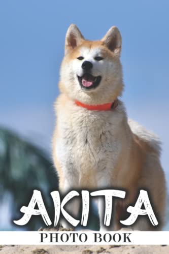 Akita Photo Book: Puppies Hi-res Stock Photography For Kids Adults To ...