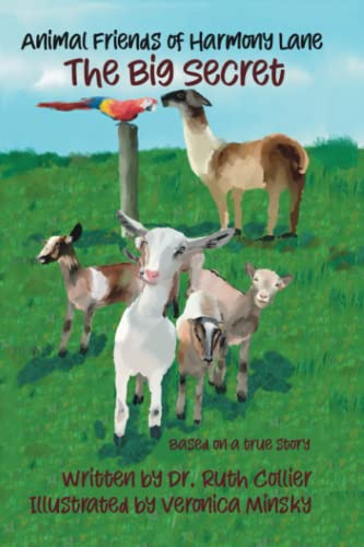 The Big Secret by Dr. Ruth Collier | Goodreads