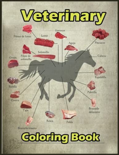 Veterinary Anatomy Coloring Book: Physiology Color Workbook for ...