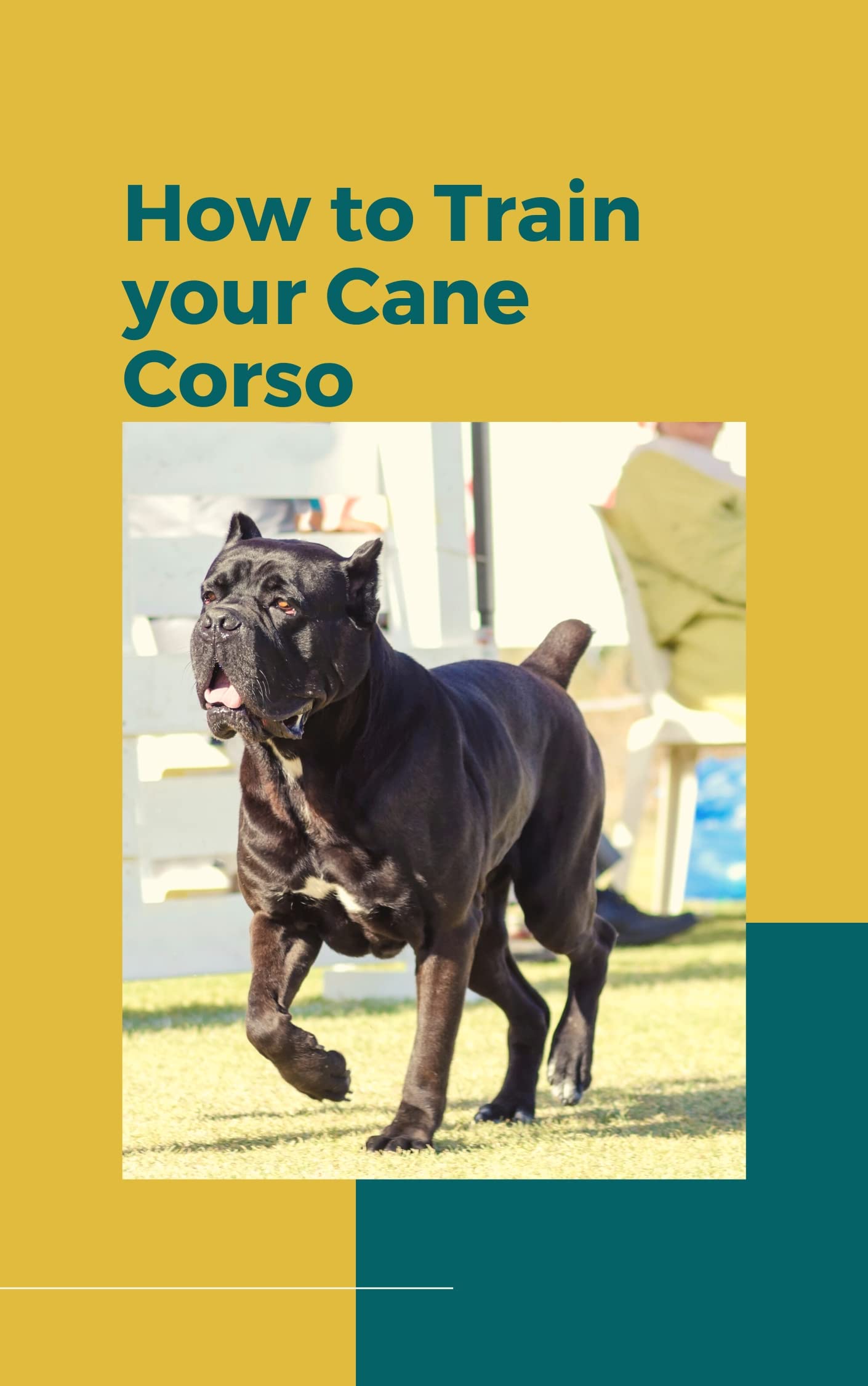 How to Train Your Cane Corso: A Comprehensive Guide to Raising a Well ...