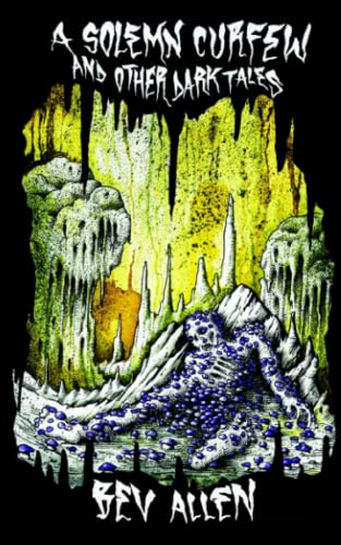 A Solemn Curfew and Other Dark Tales by Bev Allen | Goodreads