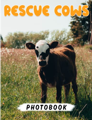 Rescue Cows Photo Book: Domestic Animal for All Family to Decor as ...