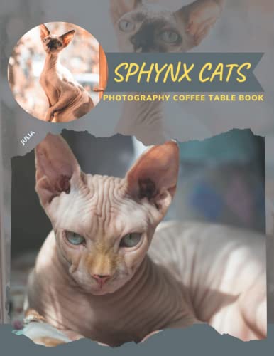 Sphynx Cats Photography Coffee Table Book: Cool Pictures That Create An ...