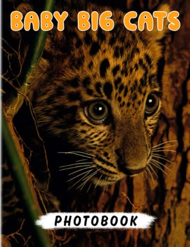 Baby Big Cats Photo Book: The Cutest Baby Cats Around the World ...