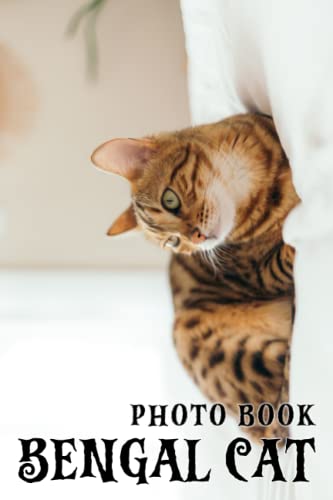 Bengal Cat Photo Book: Kawaii Domestic Cats Colorful Pages For All Ages ...