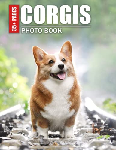 Corgi Photo Book: Cute Corgi Photos for Women, Men, Kids & Corgi Lovers ...