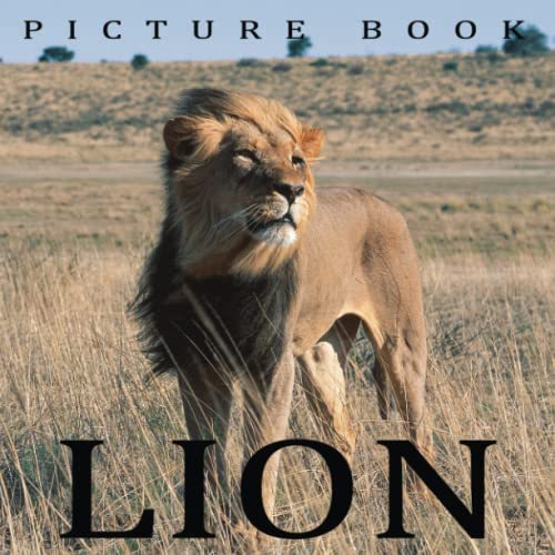 The Picture Of Lion: 2023 2024 Lion Calendar Monthly Planner Features ...