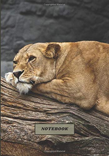 Lioness notebook: This notebook has 100 lined pages, with a beautiful ...