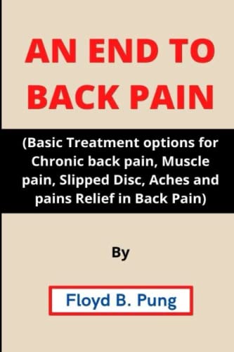 AN END TO BACK PAIN: Basic Treatment options for Chronic back pain ...