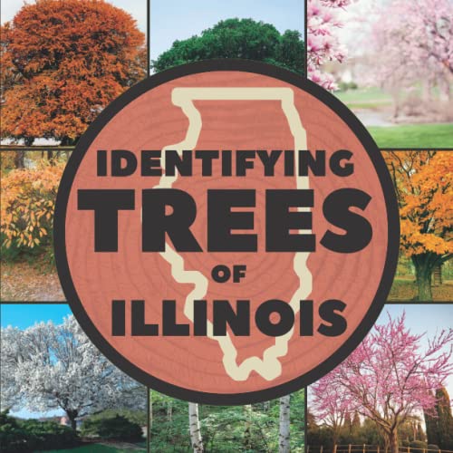 Identifying Trees of Illinois: A Simple Identification Guide Book To ...