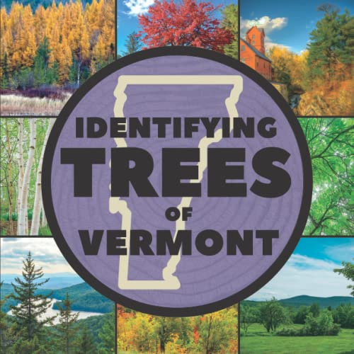 Identifying Trees of Vermont: A Simple Identification Guide Book To ...