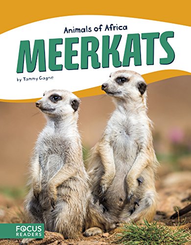 Meerkats (Animals of Africa (Set of 10)) by Tammy M. "Gagne" Proctor ...