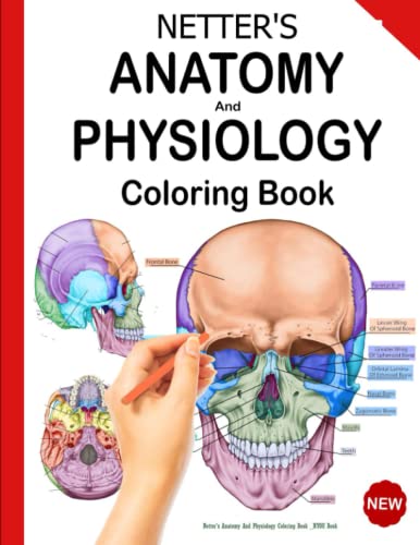 Netter's Anatomy And Physiology Coloring Book _NYOU Book: Human Anatomy ...