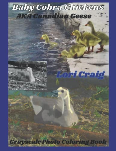 Baby Cobra Chickens AKA Canadian Geese Grayscale Photo Coloring Book ...