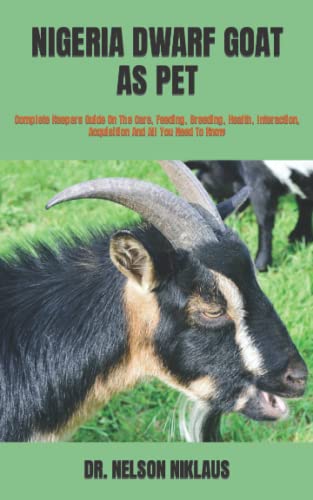 NIGERIA DWARF GOAT AS PET: Complete Keepers Guide On The Care, Feeding ...