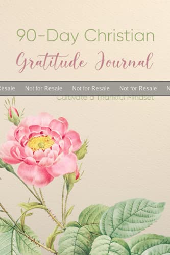 PROOF: 90-Day Christian Gratitude Journal: Cultivate a Thankful Mindset ...