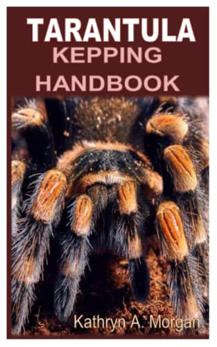 TARANTULA KEEPING HANDBOOK: Essential Handbook on Every Thing You Need ...