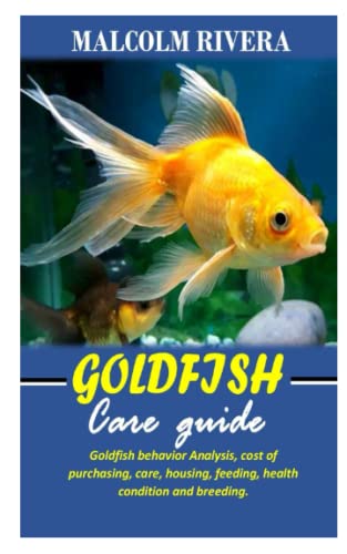GOLDFISH CARE GUIDE: Goldfish behavior Analysis, cost of purchasing ...