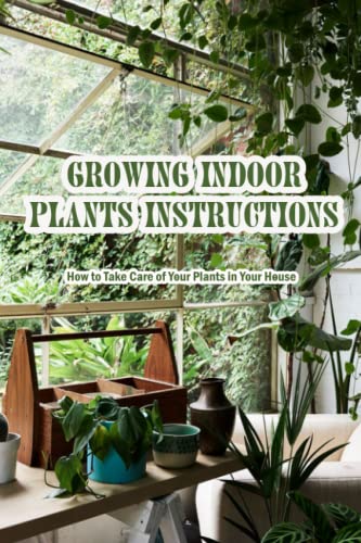 Growing Indoor Plants Instructions: How to Take Care of Your Plants in ...
