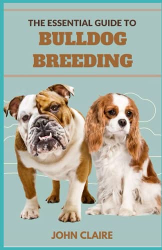 THE ESSENTIAL GUIDE TO BULLDOG BREEDING: The Complete Guide on How to ...