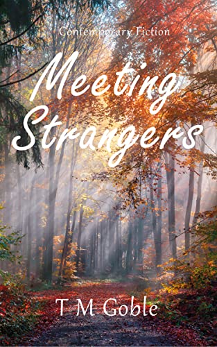 Meeting Strangers (Contemporary Fiction) by T.M. Goble | Goodreads