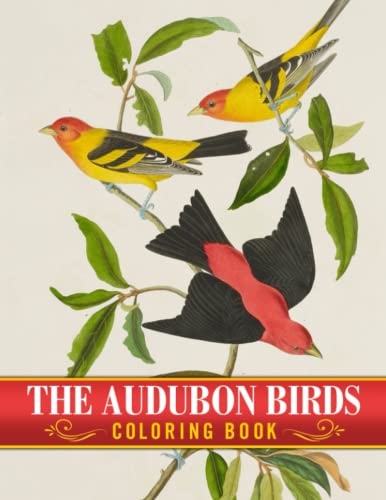 ᴛʜᴇ ᴀᴜᴅᴜʙᴏɴ ʙɪʀᴅs Coloring Book: 30+ Cool Illustration Pages to Color ...