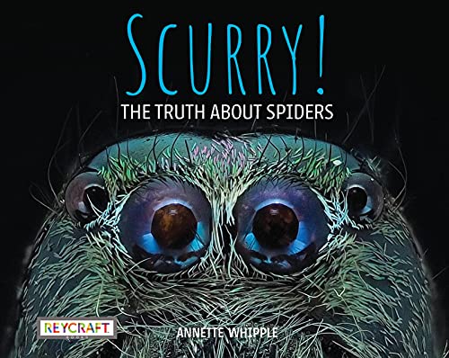 Scurry! The Truth About Spiders| Full of Fun Facts, Photographs ...