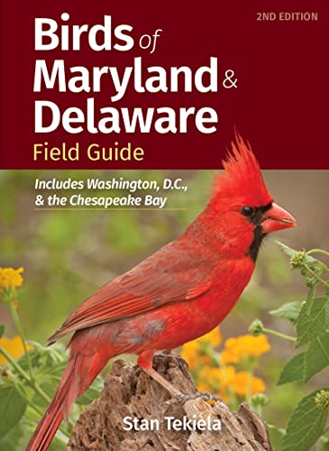 Birds of Maryland & Delaware Field Guide: Includes Washington, D.C ...