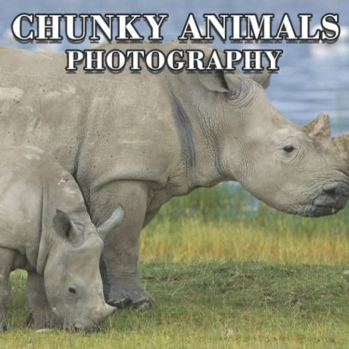 Chunky Animals PhotoBook: A Great Gift With Impressive And Attractive ...