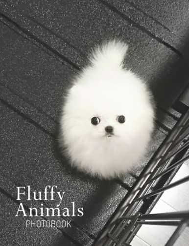 Fluffy Animals Photobook: Have A Laugh With These Photos Of Super ...