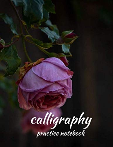 Calligraphy Practice NoteBook: Hand Lettering Calligraphy Workbook ...