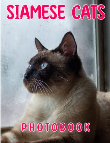 Siamese Cats Photo Book: Photo Album Collection With 40 Beautiful And ...