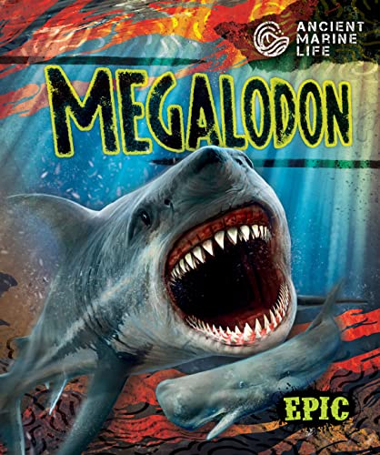 Megalodon (Ancient Marine Life) by Kate Moening | Goodreads